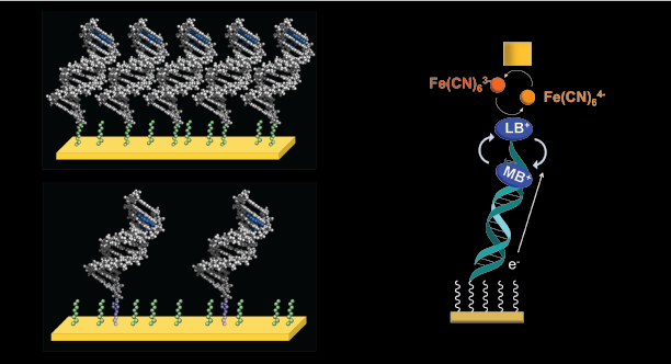 Publications (Legacy) – Furst Lab