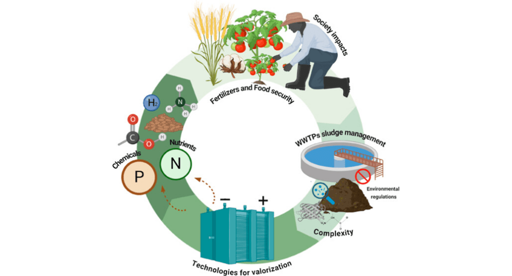 Innovative Approach to Sustainable Fertilizer Production: Leveraging ...